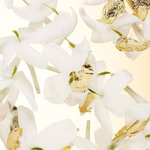 Alien Goddess : le nouveau parfum Mugler représenté par Willow Smith ...